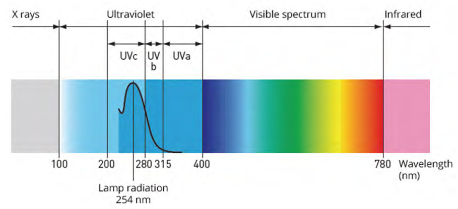 How UV Sterilizers Work？ - Amanda Water Tech Inc.
